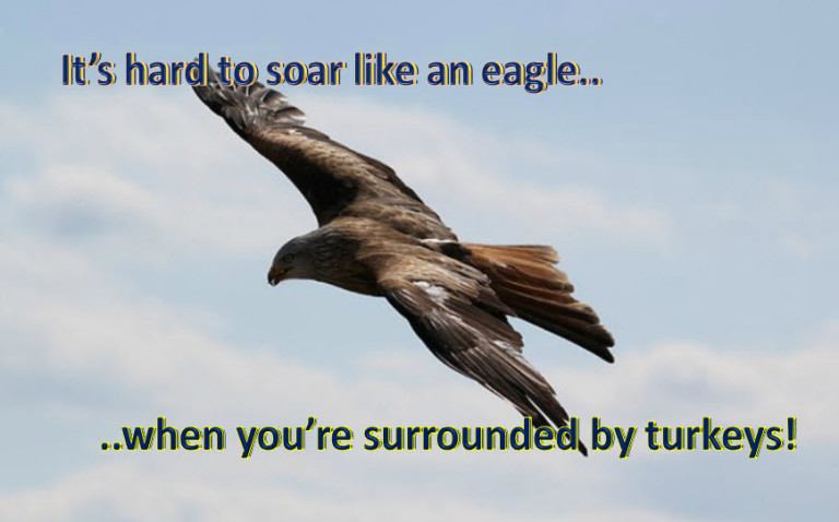 It’s Hard To Soar Like An Eagle When You’re Surrounded By Turkeys ...